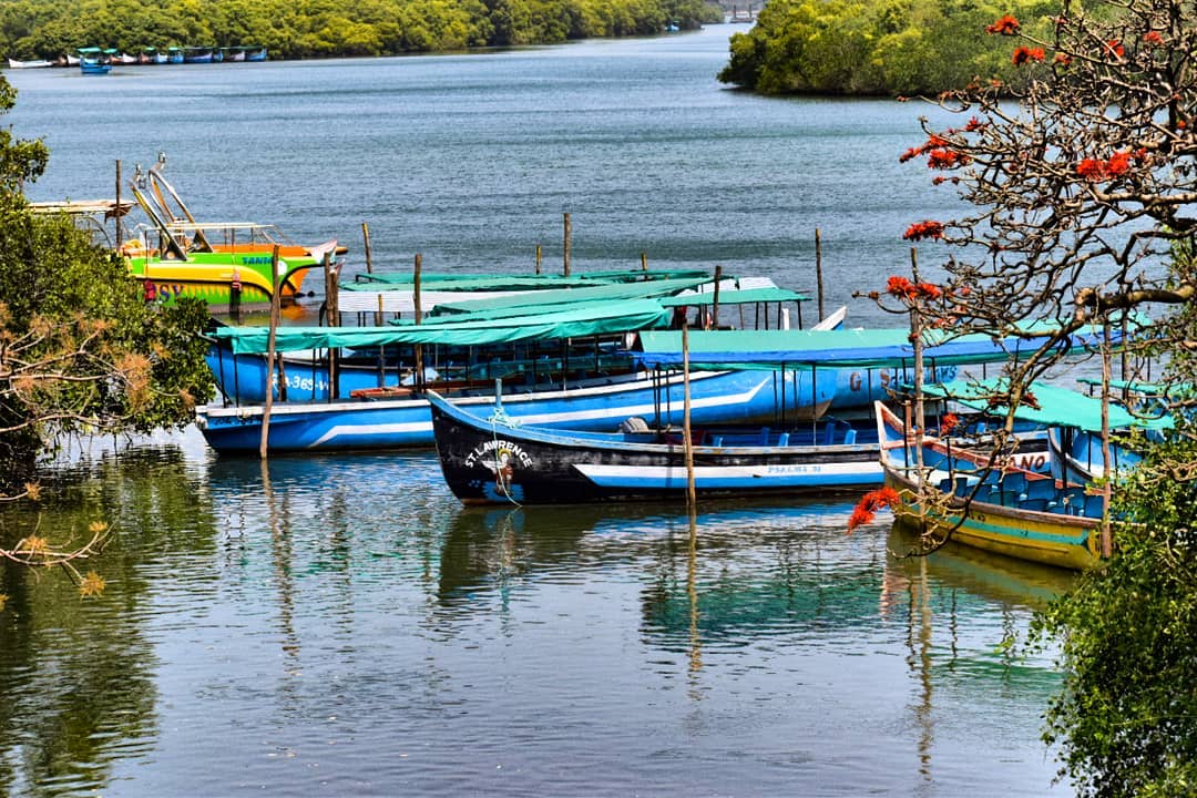 Goa: The Smallest State of India - Travel Xamp
