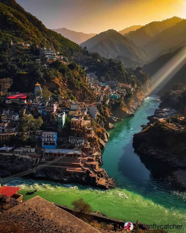 10 Reasons Why You Should Visit India - Travel Xamp