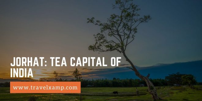 Jorhat: Tea Capital of India - Travel Xamp
